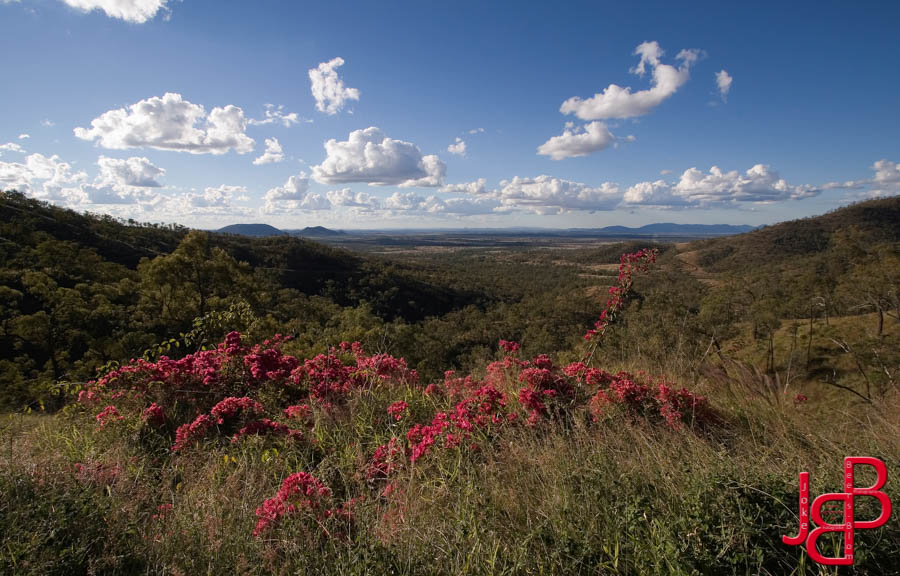 Fotoalbum week 1 en 2 – Aussiroo.nl